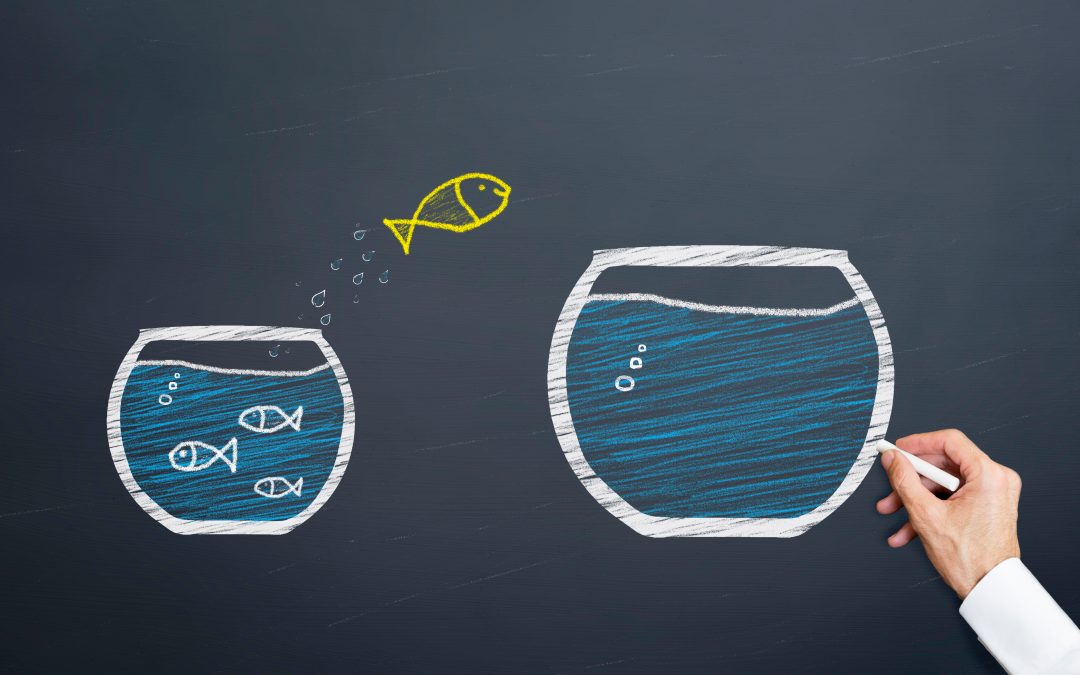 Change for the Good: Prepare | The Citadel Parent and Family Portal